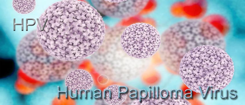 Genital Warts – HPV | İstanbul Laboratuvarları