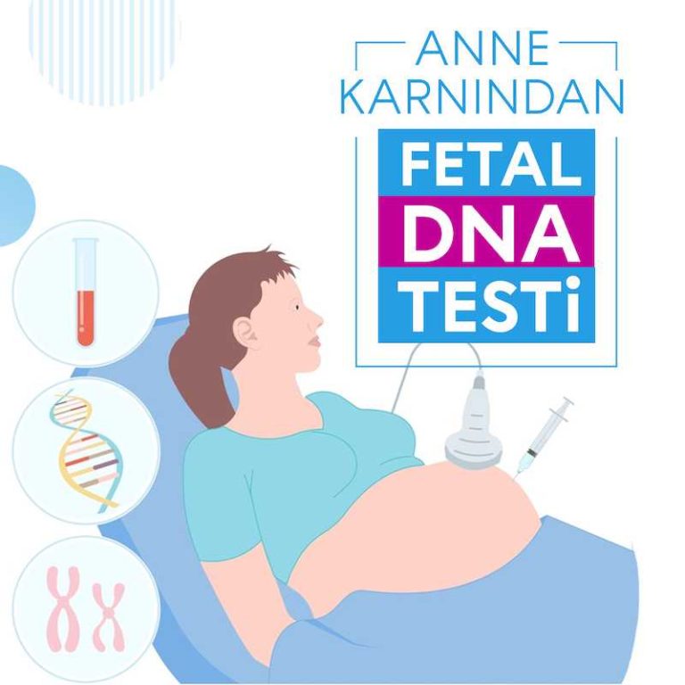 Fetal DNA Testi Fiyatları 2025 | İstanbul Laboratuvarları - Medhome